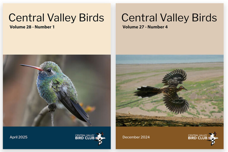 Central Valley Bird Club – A community dedicated to the enjoyment ...